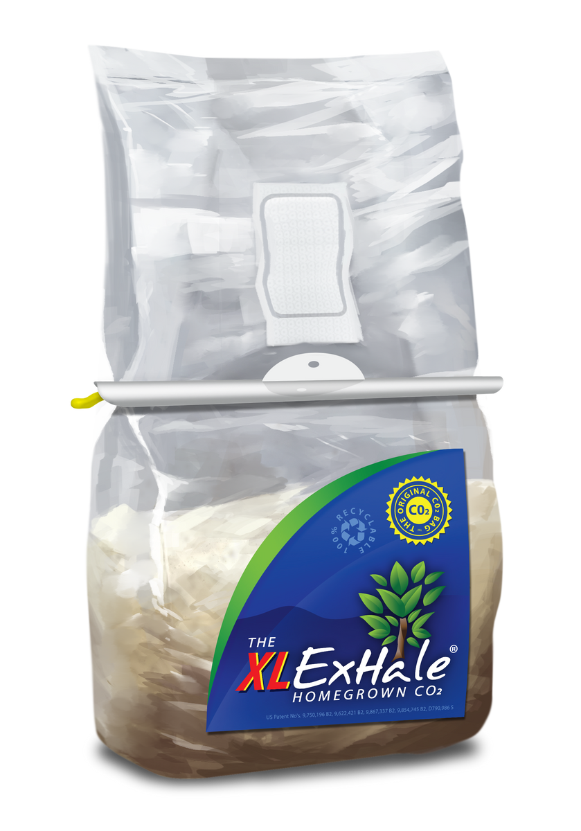Exhale (full Box) – Mondo Mycologicals B.V.